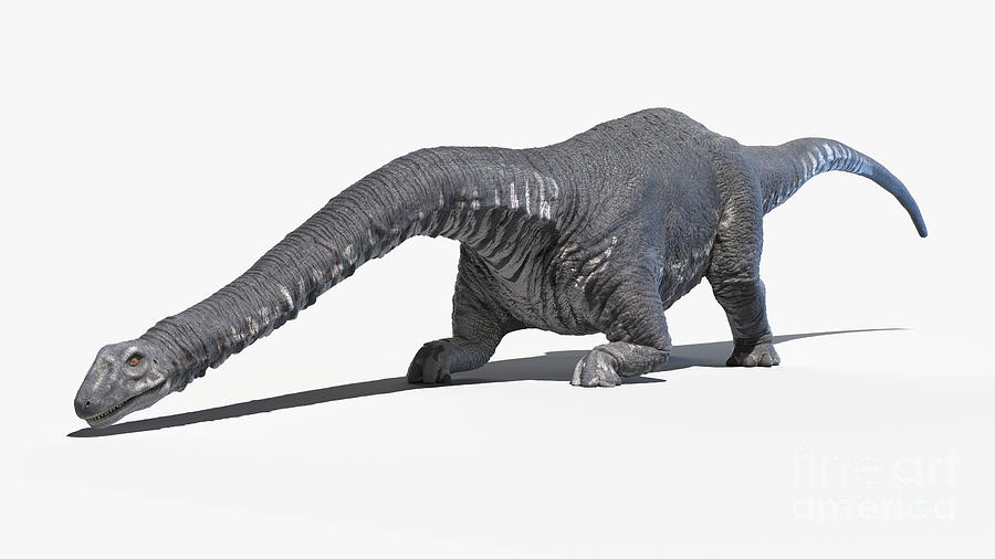 Argentinosaurus Photograph by Sebastian Kaulitzki/science Photo Library ...
