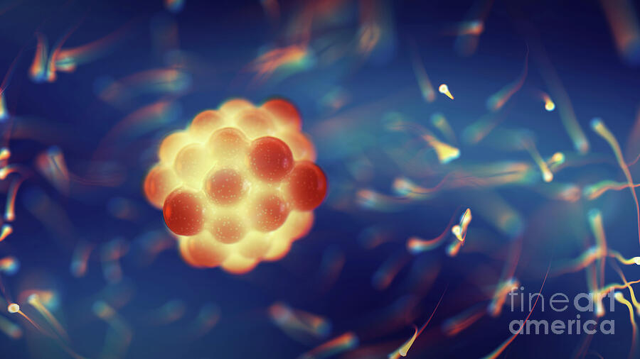 Atomic Structure #5 by Nobeastsofierce/science Photo Library