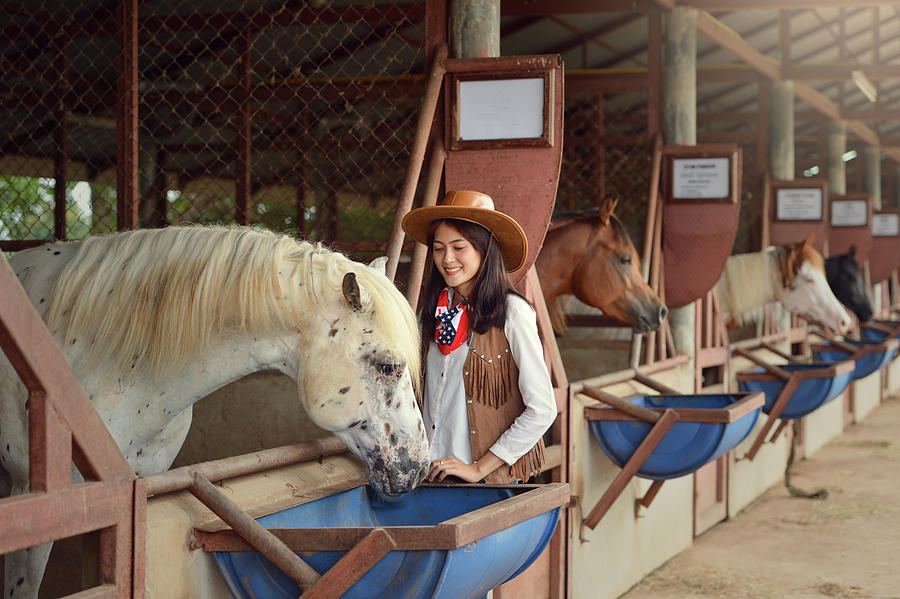 Cowgirl Working Stables.concept Of Retro Woman In Horse Ranch ...