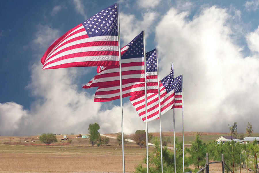 5 Flags Photograph by Warren Gale - Fine Art America