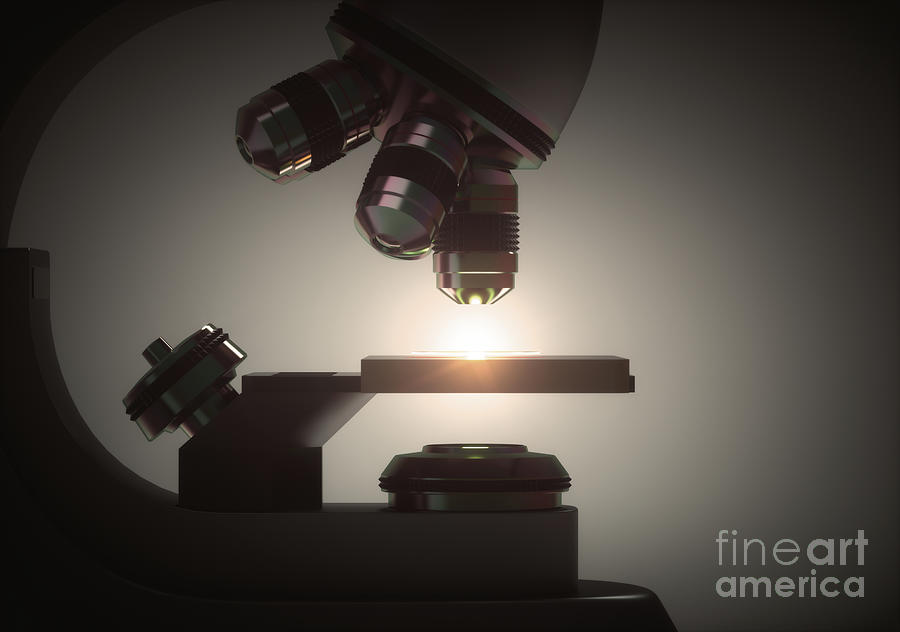 Light Microscope Photograph by Ktsdesign/sciencephotolibrary - Pixels