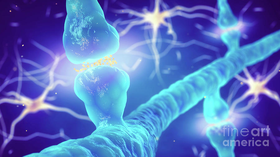 Nerve Synapses #5 by Science Photo Library