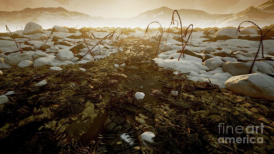 Ordovician?Çôsilurian Mass Extinction Photograph by Richard Jones ...