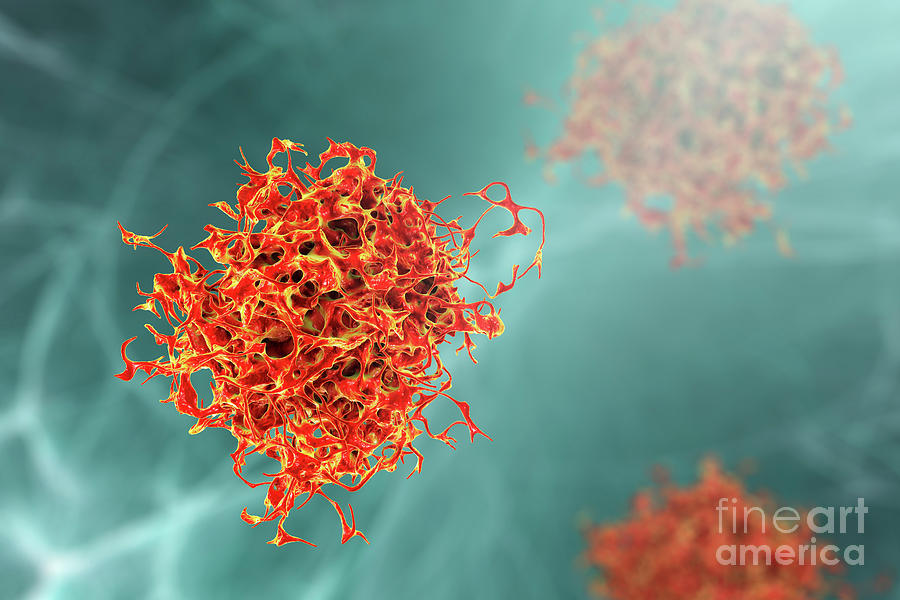 Cancer Cells Photograph by Kateryna Kon/science Photo Library - Pixels