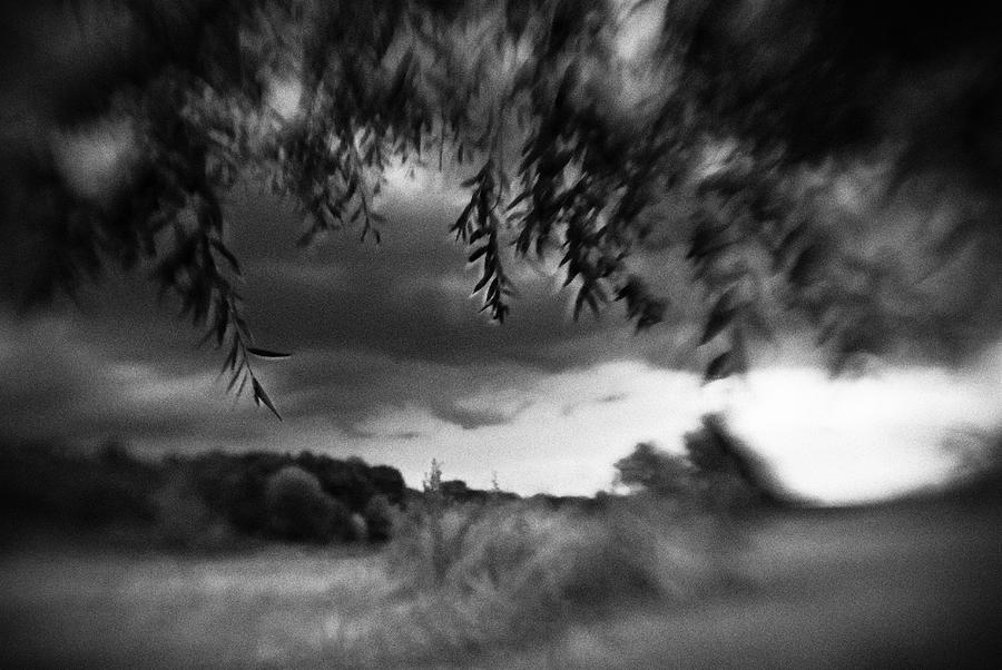 Photograph by Codrin Lupei - Fine Art America