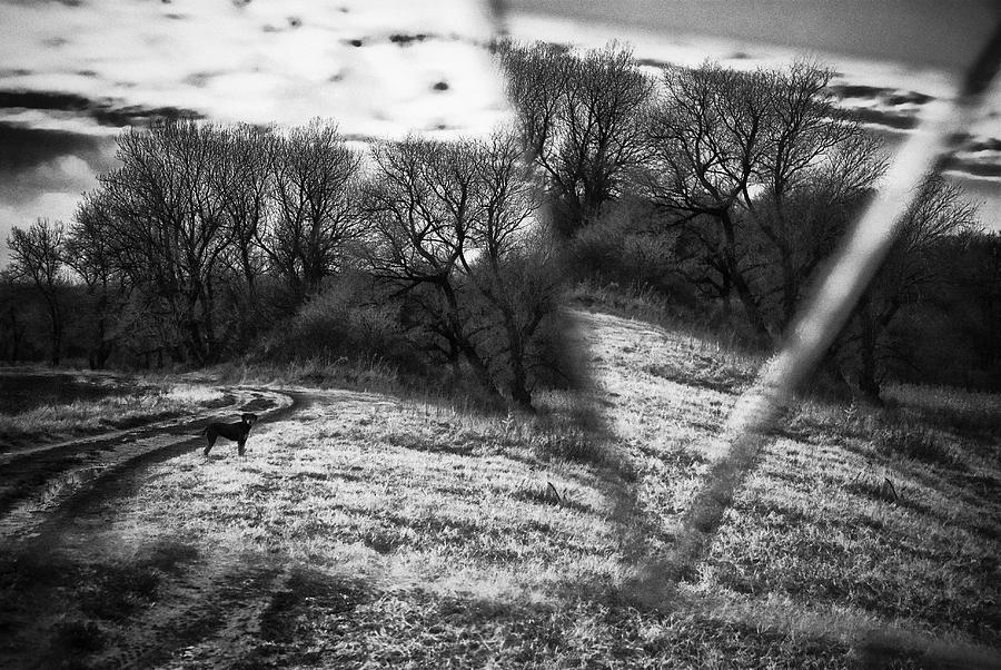 Photograph by Codrin Lupei - Fine Art America