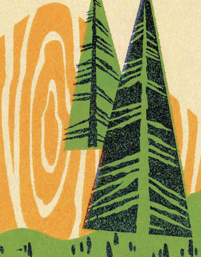 Pine trees Drawing by CSA Images - Fine Art America