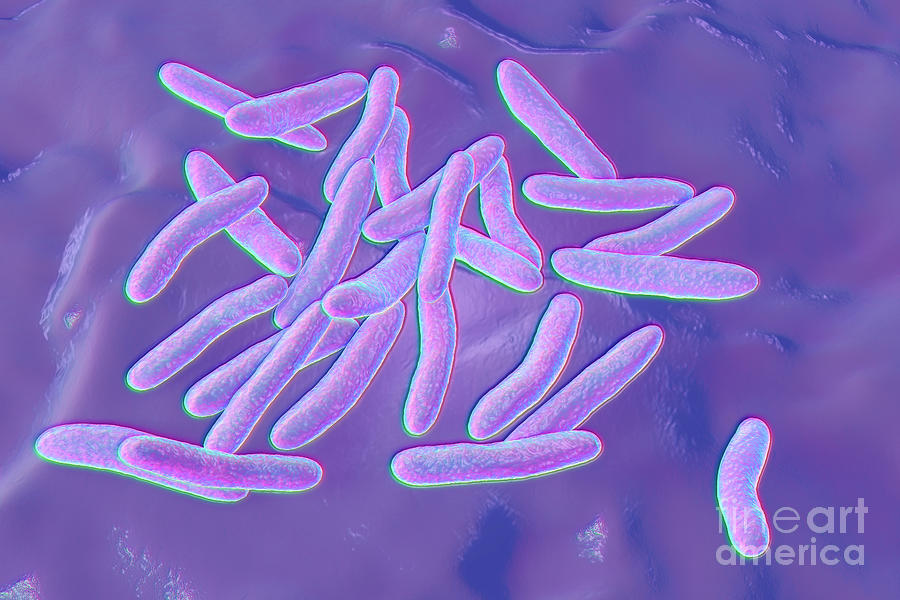 Pseudoalteromonas Tetraodonis Bacteria #6 by Kateryna Kon/science Photo Library
