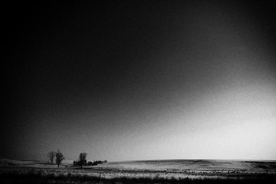 Photograph by Codrin Lupei - Fine Art America