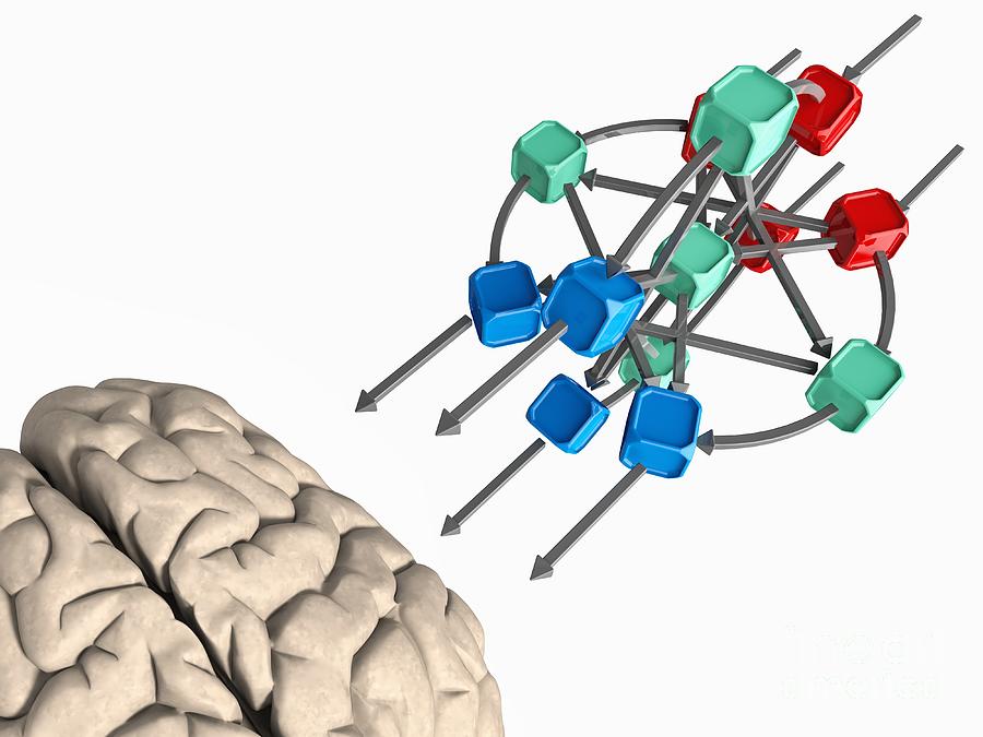 Brain With Artificial Neural Network Photograph by Laguna Design ...