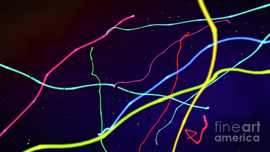 Neon Streamers Photograph by Christoph Burgstedt/science Photo Library