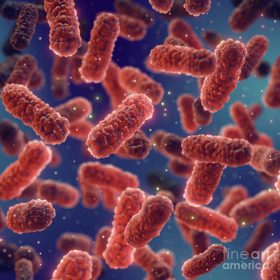 Bacteria #8 by Science Photo Library