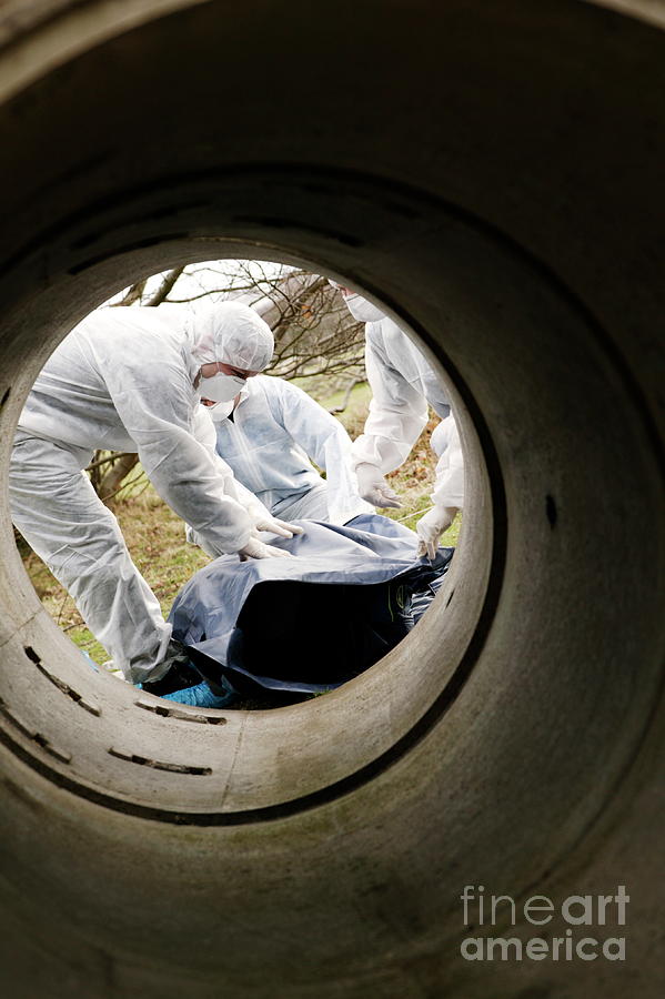Forensic Training #8 Photograph by Michael Donne/science Photo Library ...