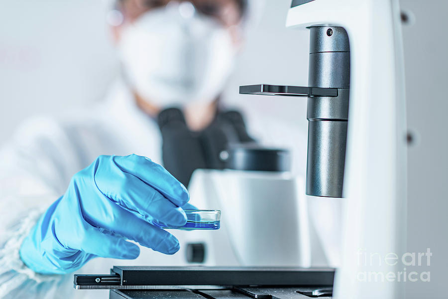 Scientist Using Microscope Photograph by Microgen Images/science Photo ...