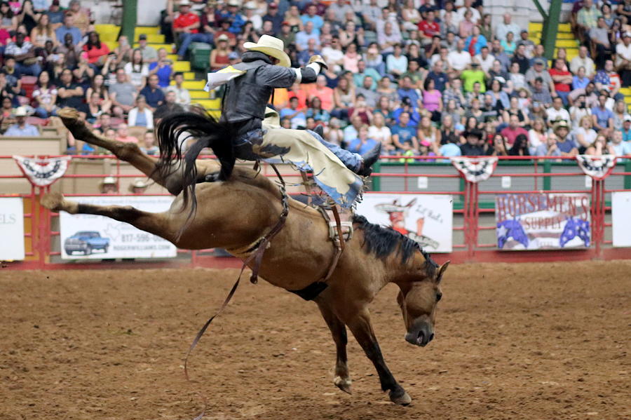 8 Second Ride Photograph by Sandy Fraser - Fine Art America