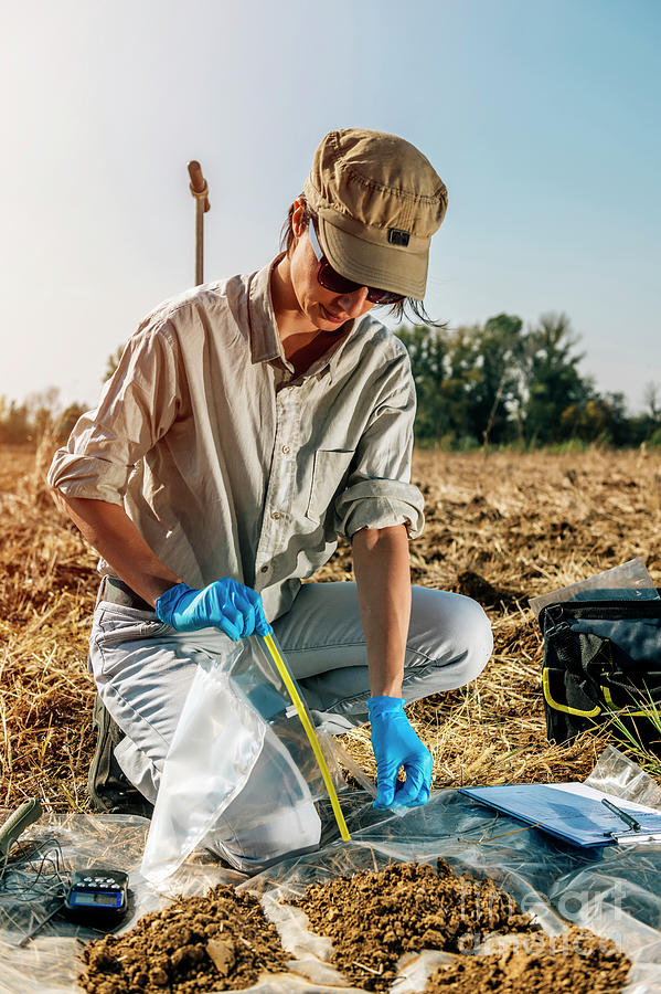 Soil Scientist Taking Soil Sample #8 by Science Photo Library
