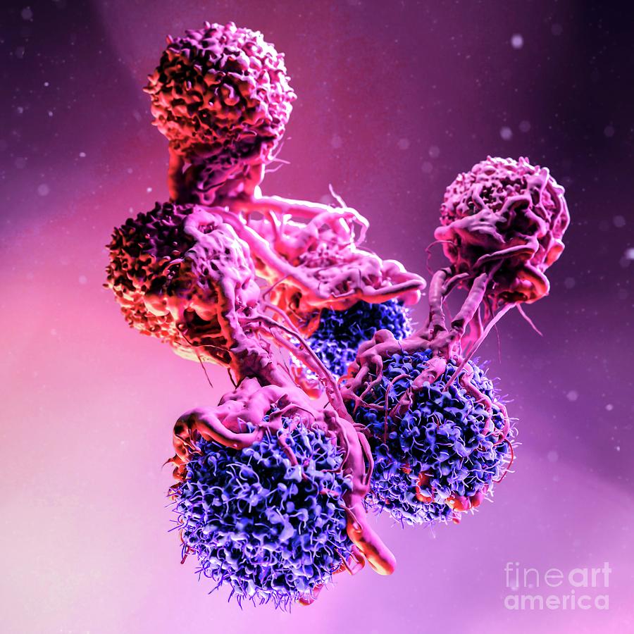 T Cells Attacking Cancer Cells #8 by Science Photo Library