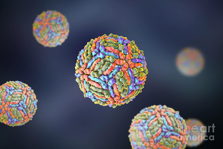 West Nile Virus Particle Photograph by Kateryna Kon/science Photo Library - Fine Art America
