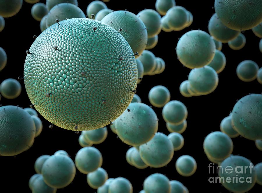 Microbubbles Photograph by Tim Vernon / Science Photo Library - Pixels