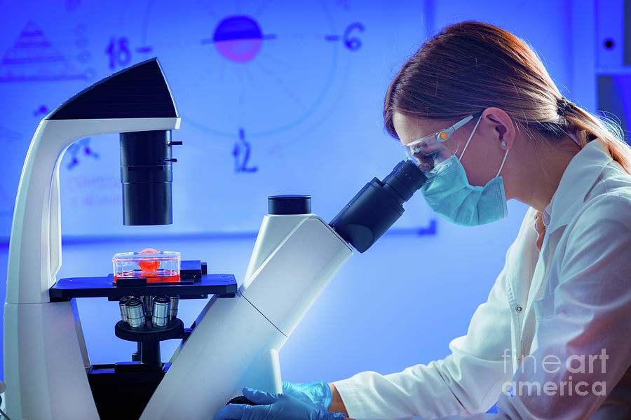 Scientist Using Microscope #9 by Microgen Images / Science Photo Library