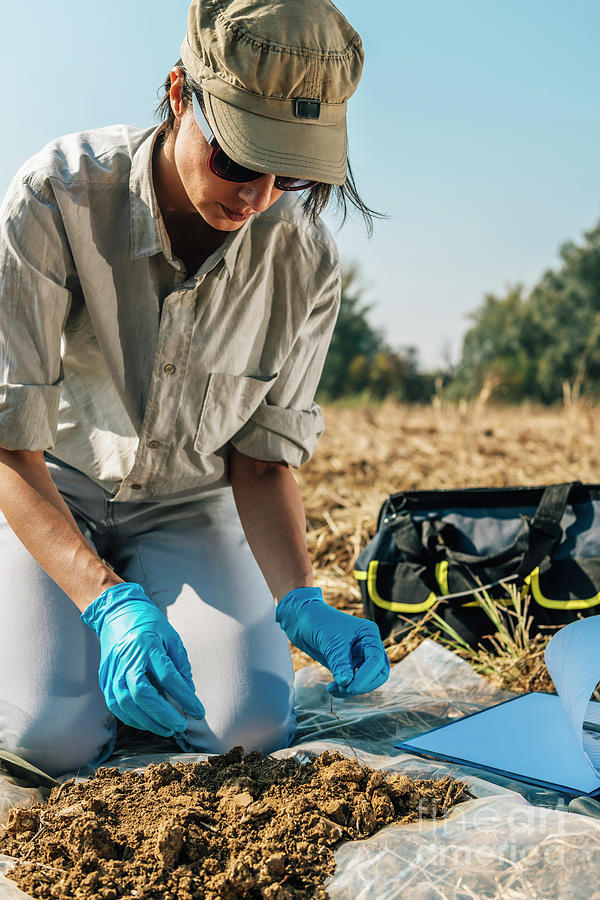 Soil Scientist Taking Soil Sample Photograph by Microgen Images/science ...