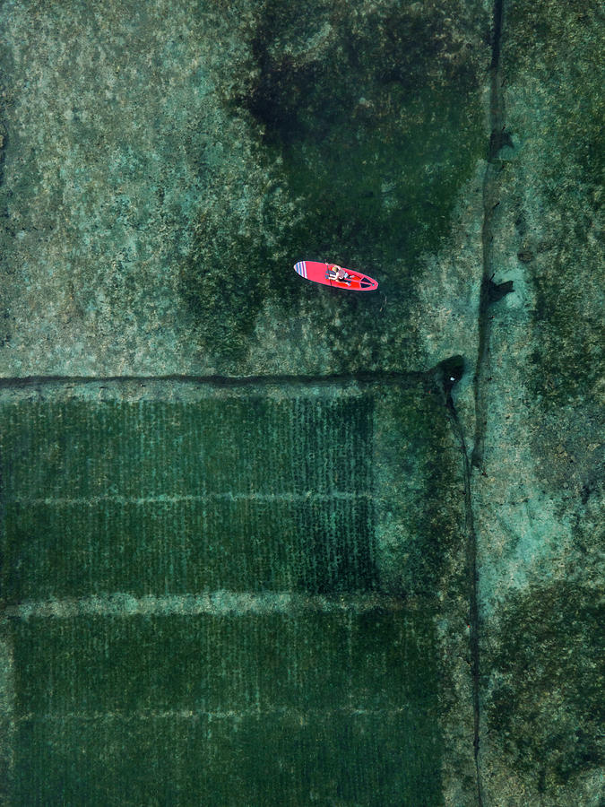 Aerial View Of Man Paddleboarding, Lembongan, Bali Photograph by Cavan Images / Konstantin ...