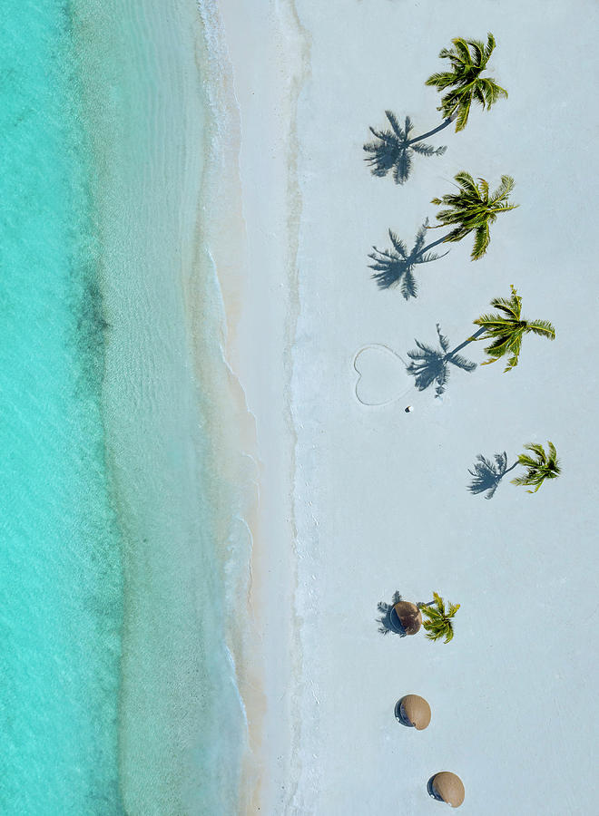 Aerial View Of Palm Trees On Tropical Beach Photograph by Cavan Images / Konstantin Trubavin ...