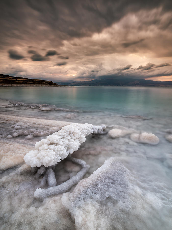 Alien Photograph by Amir Ehrlich - Fine Art America