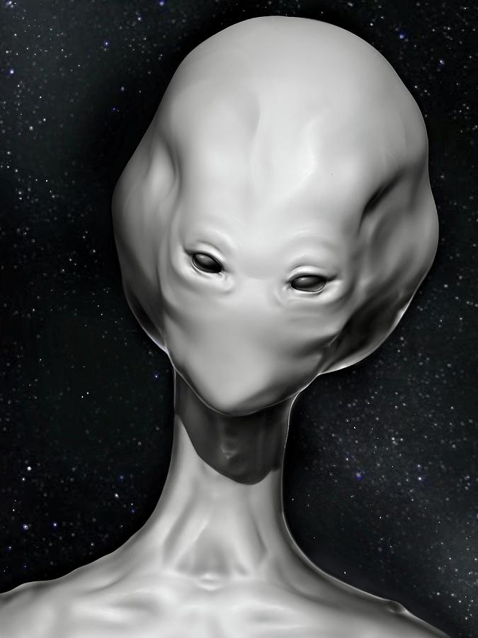 Alien Portrait #2 Digital Art by Devon Spoon | Fine Art America