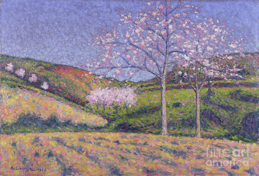 Almond Trees In Blossom, 1927 Painting by Achille Lauge - Fine Art America