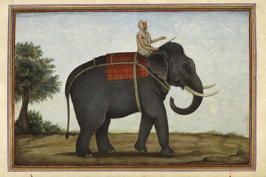 An elephant keeper riding his elephant Painting by Celestial Images ... An elephant keeper riding his elephant Painting by Celestial Images ...