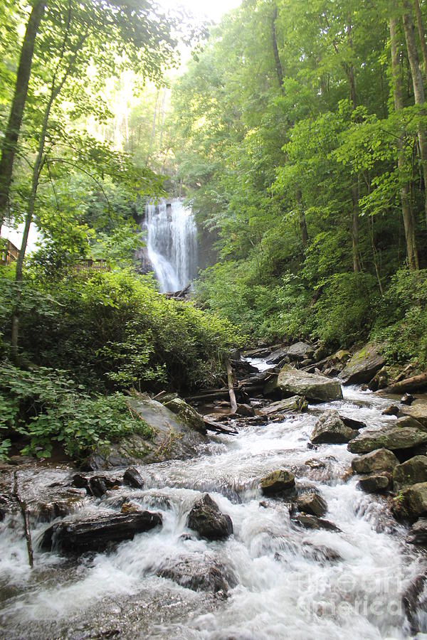 Anna Ruby falls Photograph by Don Small Jr - Fine Art America