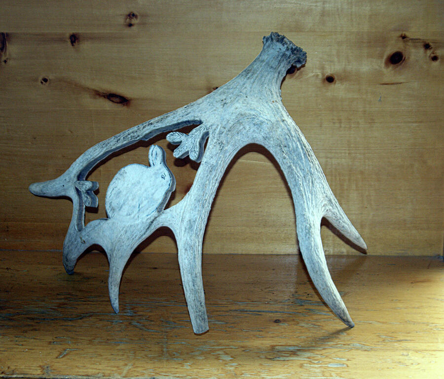 Antler Art Photograph by John Hughes - Fine Art America