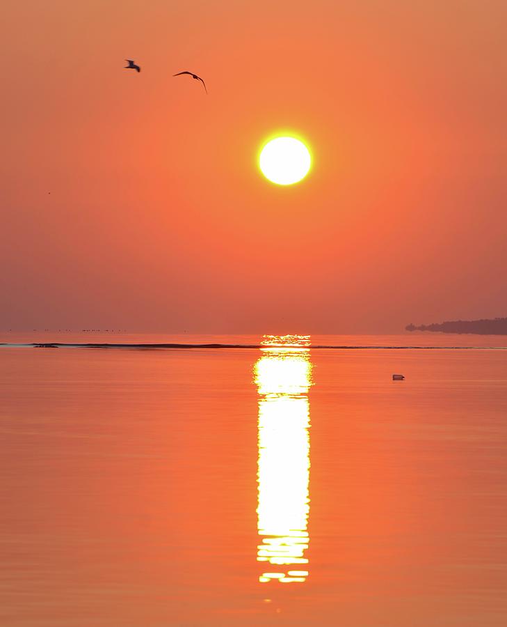Approaching Wave Photograph by Lyle Crump - Fine Art America