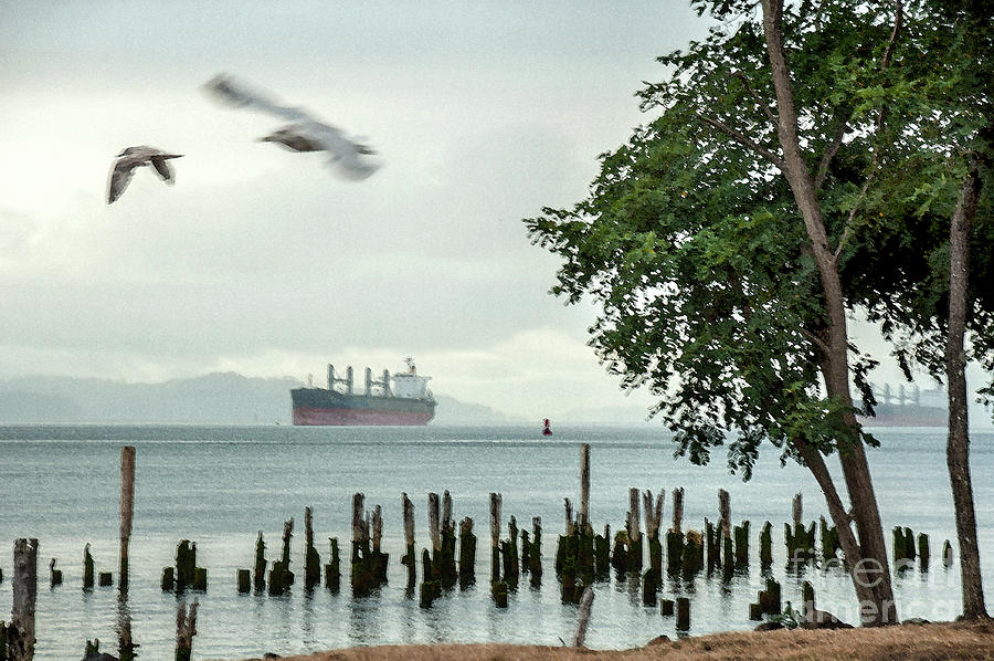 Astoria Morning 2019 Watercolor Photograph By Michael Ziegler Fine