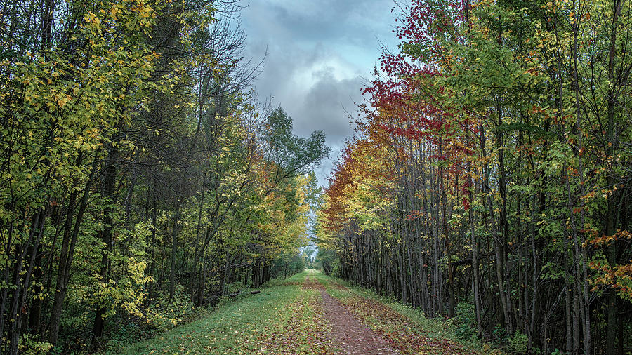 Autumn Path Photograph by Joseph Smith - Fine Art America