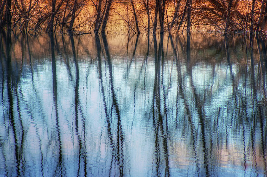 Autumn Reflection - Trees Photograph by Nikolyn McDonald - Fine Art America