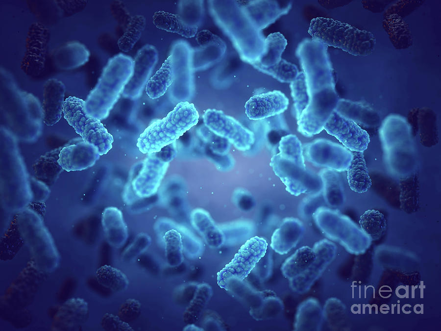 Bacteria Photograph by Nobeastsofierce/science Photo Library - Pixels