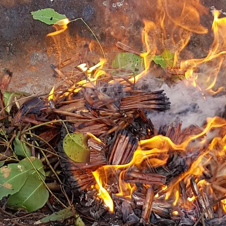 Balga Fire Photograph by Kerry Stack - Fine Art America