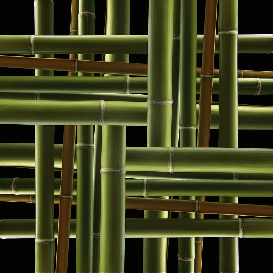 Bamboo Forming Square Pattern by Paul Taylor