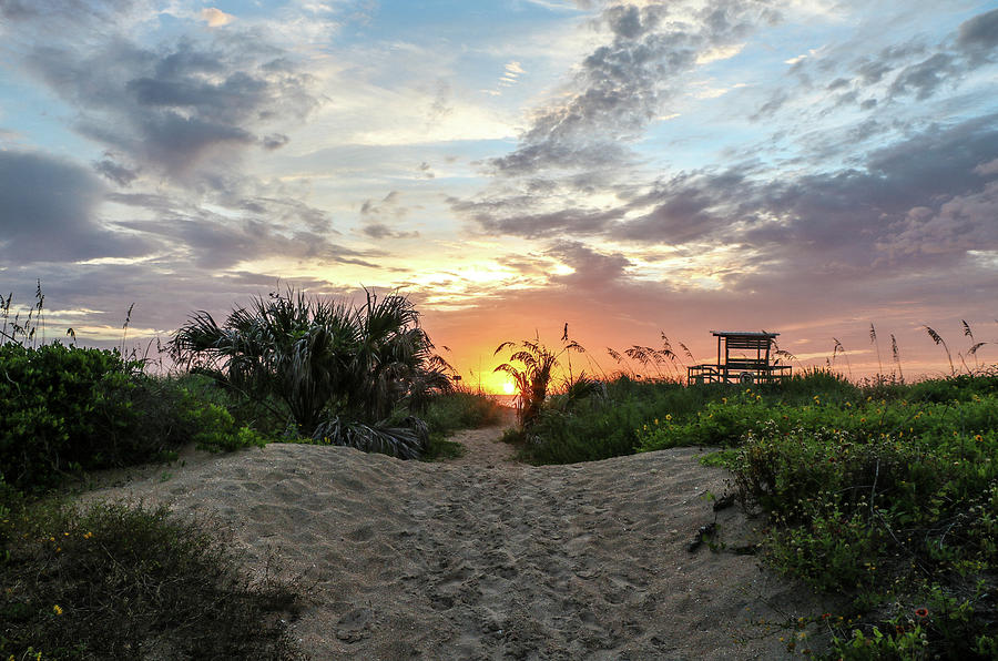Beach Path Sunrise Photograph by Nikki Brubaker | Pixels