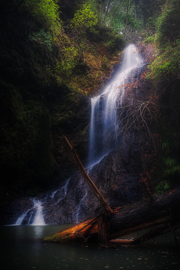 Beautiful Stream Photograph by Hiro - Pixels