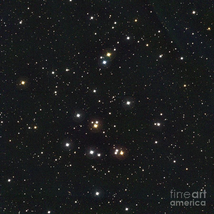 Beehive Open Star Cluster Photograph by Noao/aura/nsf/science Photo Library - Pixels