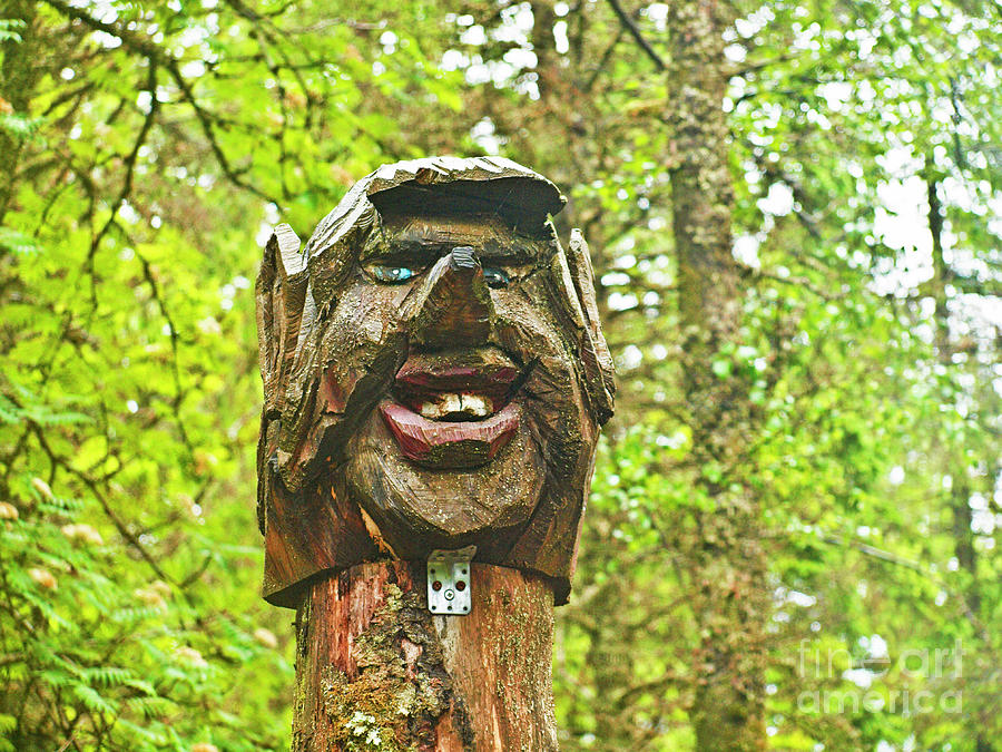 Berg_074 Photograph by Howard Stapleton - Pixels