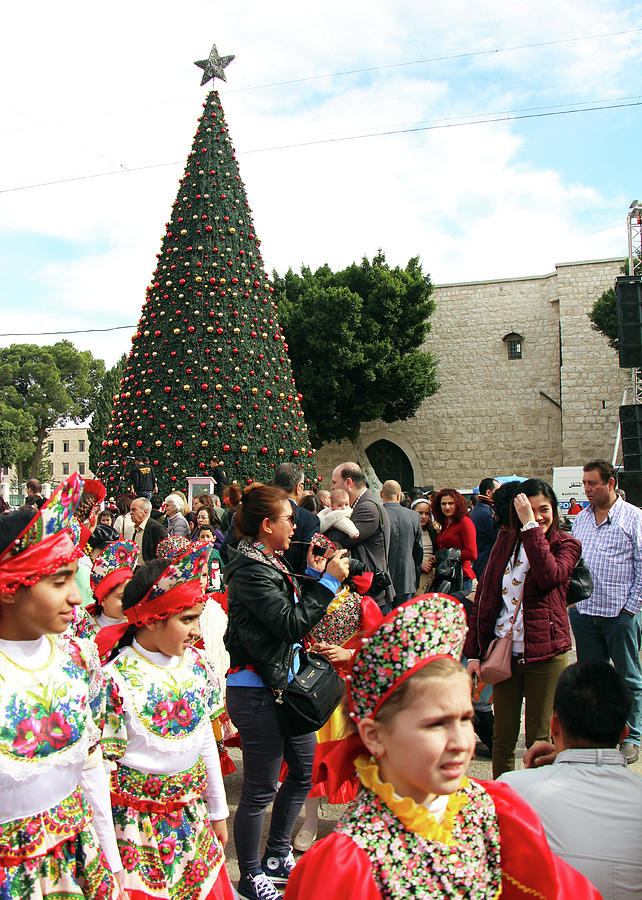 Bethlehem Tree Photograph by Munir Alawi | Pixels