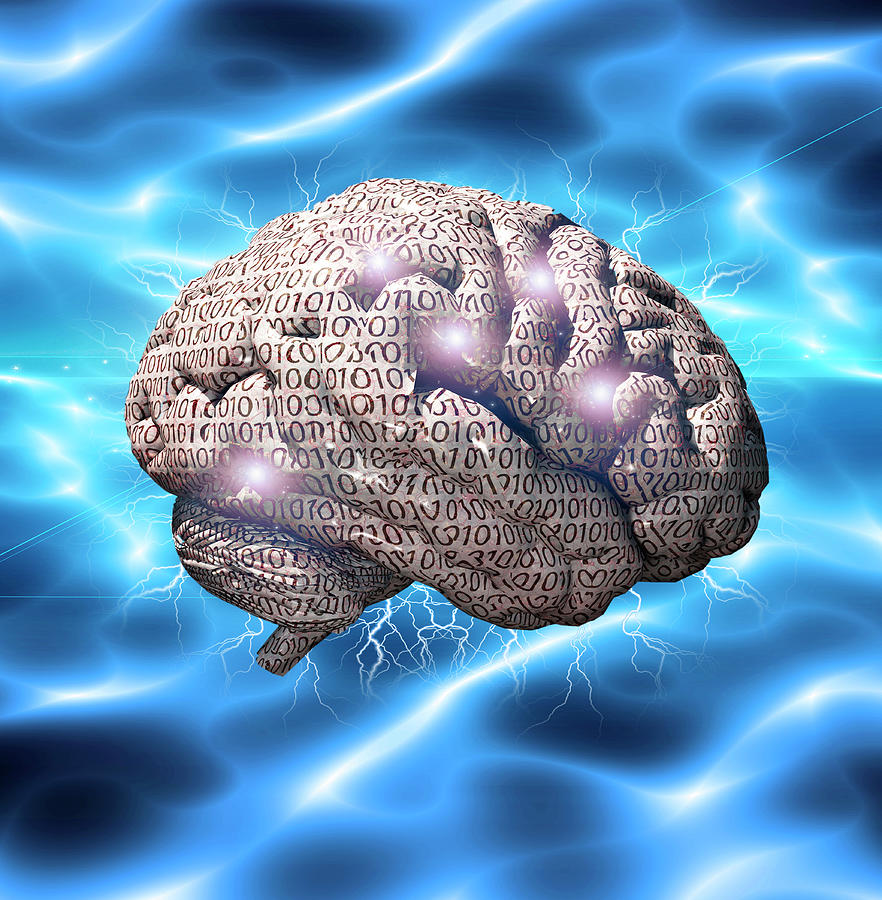 Binary Brain Photograph by Bruce Rolff - Fine Art America