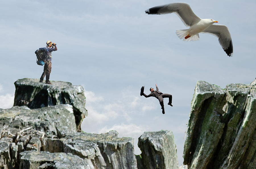 Bird Watching Digital Art by Mark Stidham - Fine Art America