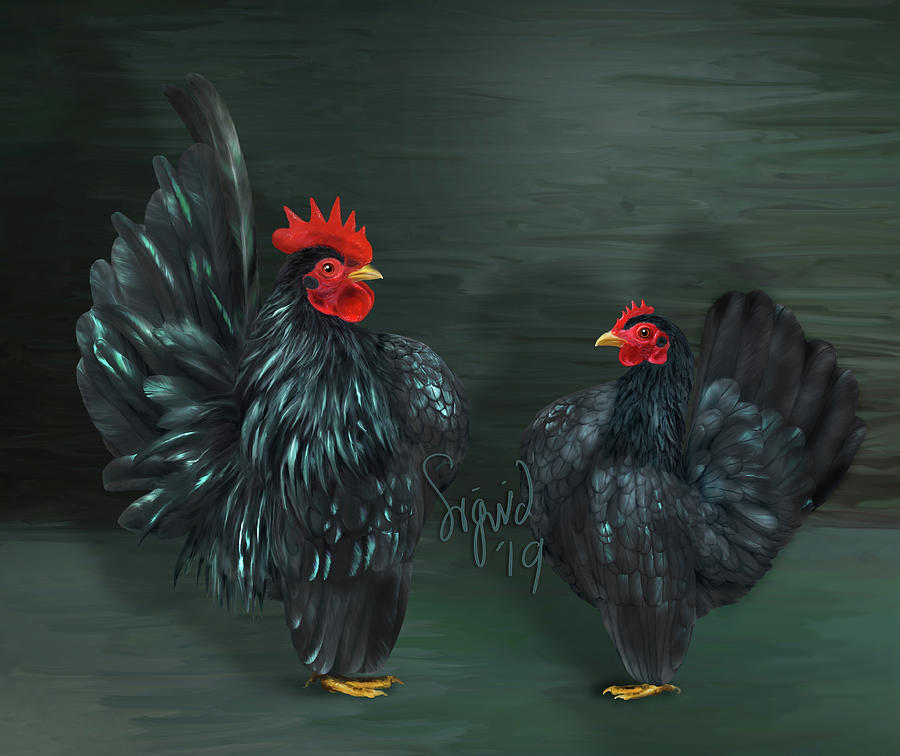 Black Serama Pair Digital Art By Sigrid Van Dort