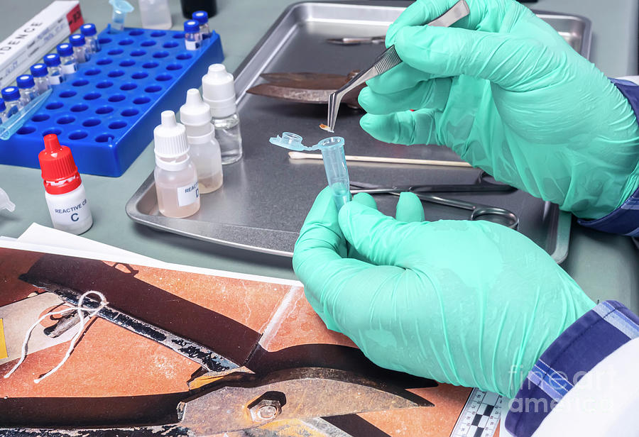 Blood Sample For Forensic Analysis Photograph by Digicomphoto/science ...