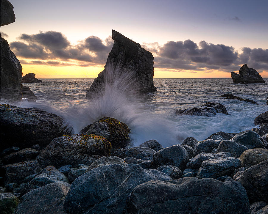 Blooms Of Ocean by Wenjin Yu